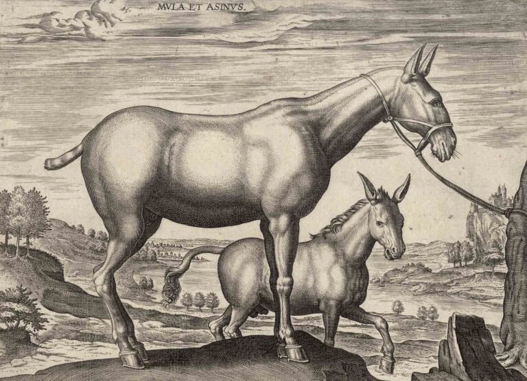 DAVID ELLERMAN — David Ellerman's draft and published papers